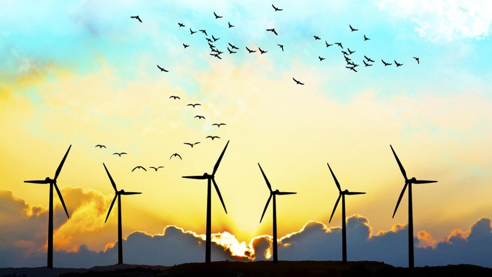 Financing Completed for Wind Power Plant Project in Saudi Arabia | Al ...