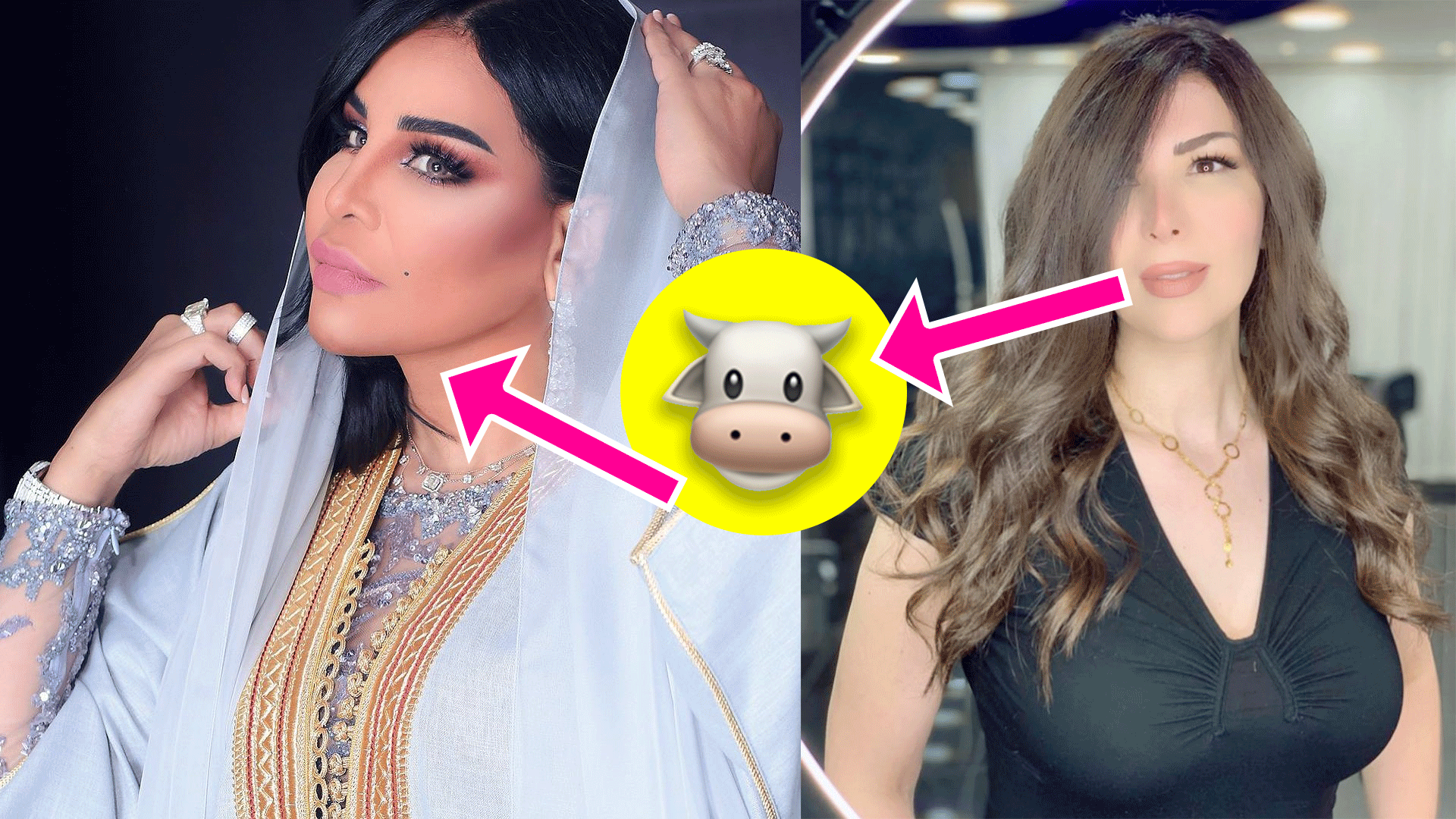 Shameful! Abeer Shams Al-Deen Calls Ahlam a COW! | Al Bawaba
