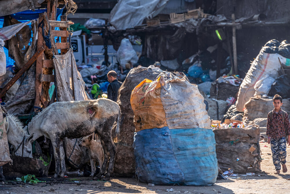 Cairo Launches First Waste Collection App to Track Garbage | Al Bawaba