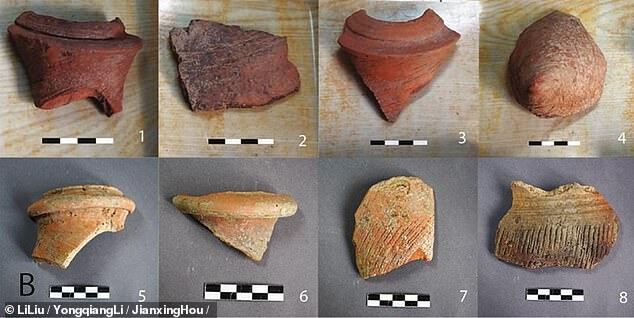 The Chinese Made Beer 6000 Years Ago. This is How | Al Bawaba