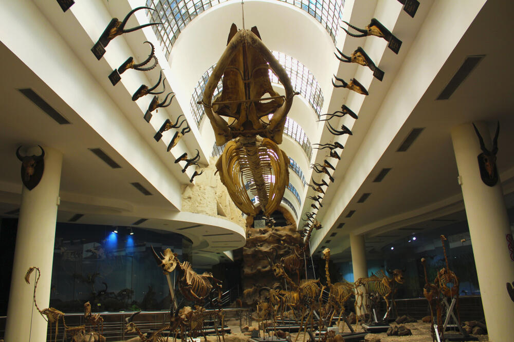 Mesmerising Giza Zoo is Largest Zoological Garden in The World | Al Bawaba