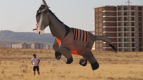 Meet The Man Who is Besotted With Kites in Every Shape, Kind and Form ...