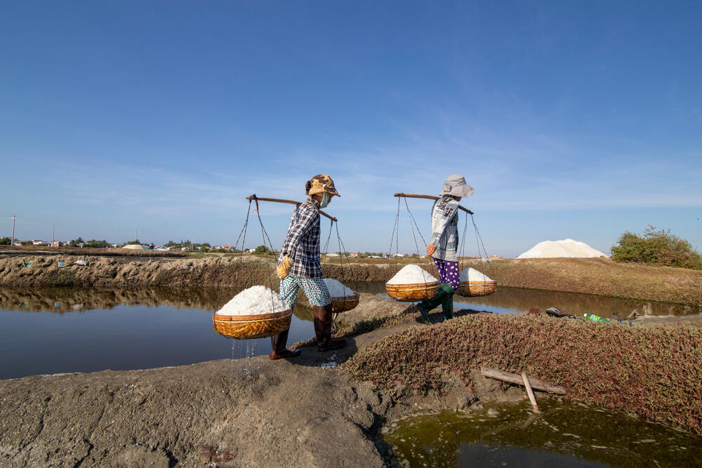 Harvesting Salt is a Time Honored Tradition in France | Al Bawaba