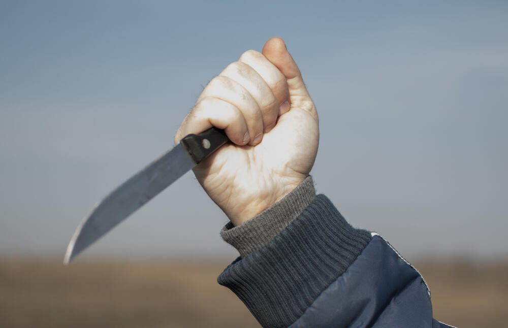 Mexican Teen Fatally Stabs His Cousins, Saying 'I am Tired of Trying to ...