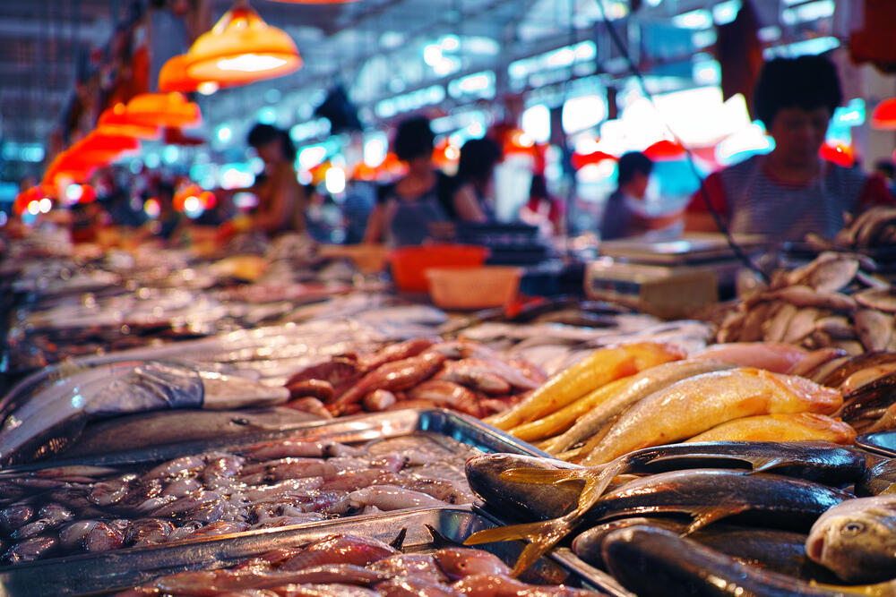 Why Has UAE Banned The Sale Of Two Fish Species Al Bawaba why-has-uae-banned-the-sale-of-two-fish-species-al-bawaba