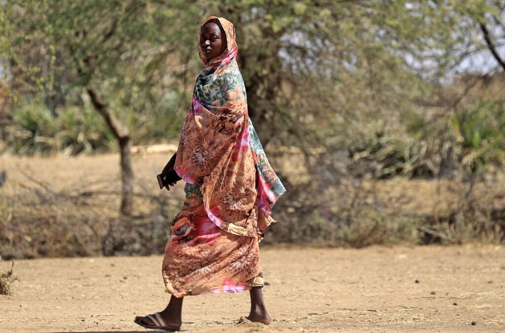Holding Peace in Darfur! 470 People Killed in Inter-tribal Violence ...