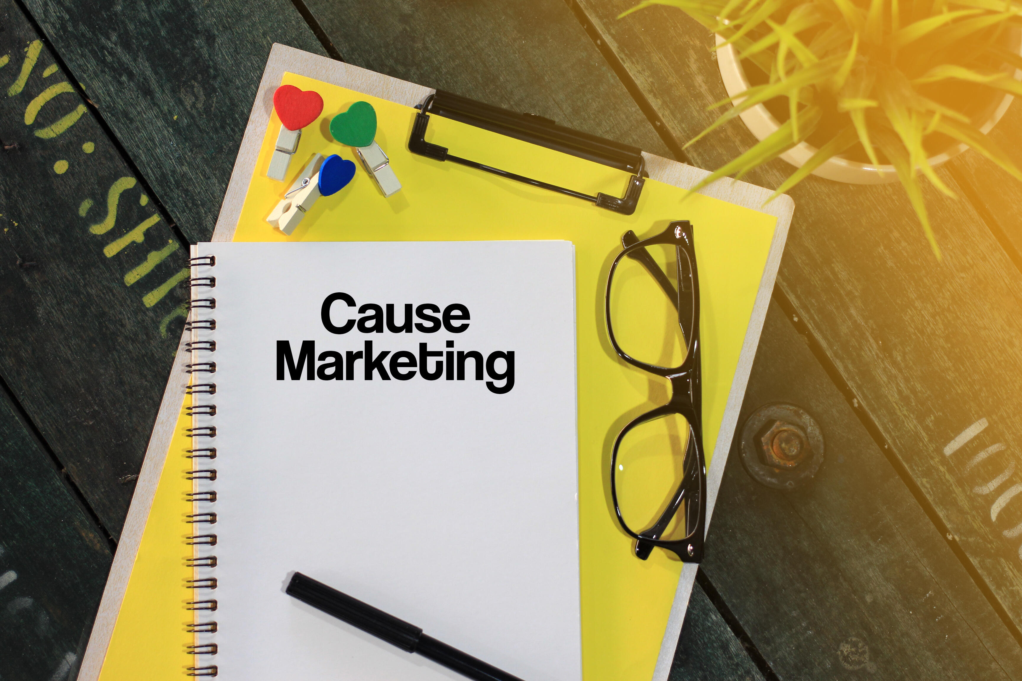 What Do You Know About These Cause-Driven Middle Eastern Businesses ...