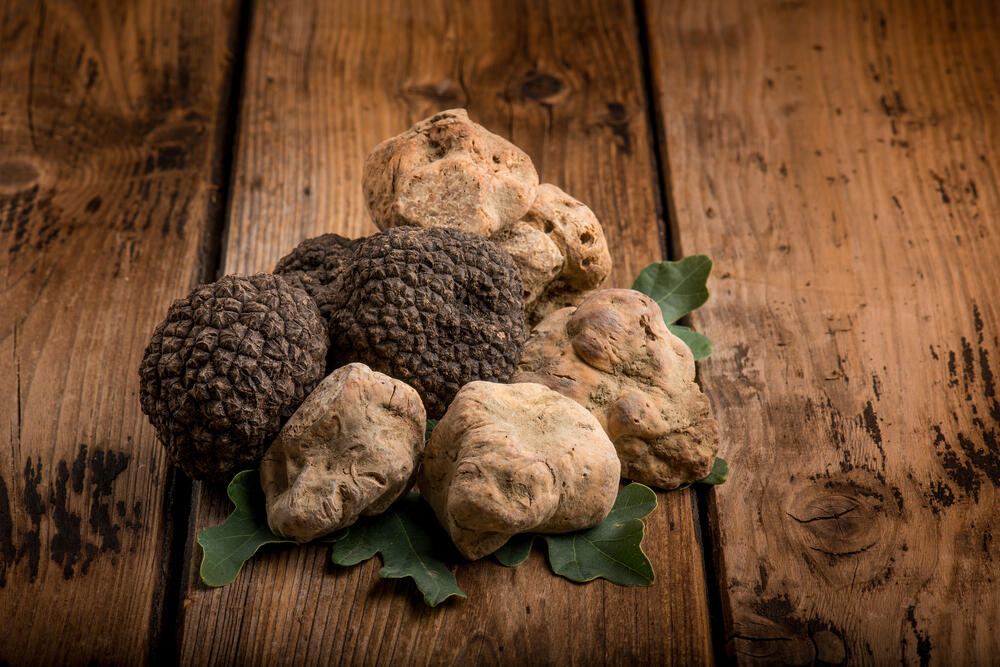Saudi Truffles! Discover Its Elusive Desert Secrets | Al Bawaba