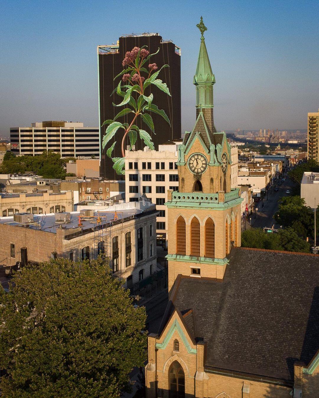 Visual Artist Mona Caron Covers a Building With a Stunning Weed Mural ...