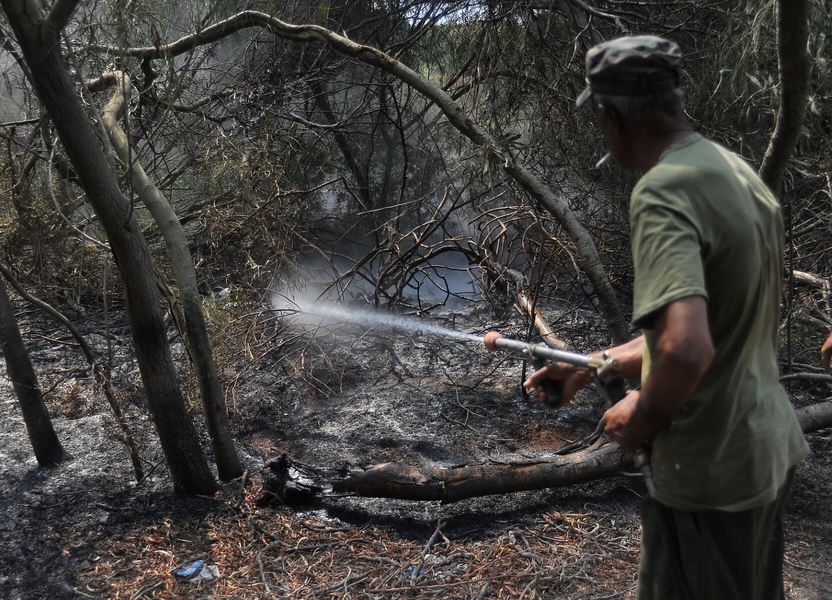 Tunisia Wildfires Eat up 450 Hectares of Pine, Acacia Forests | Al Bawaba