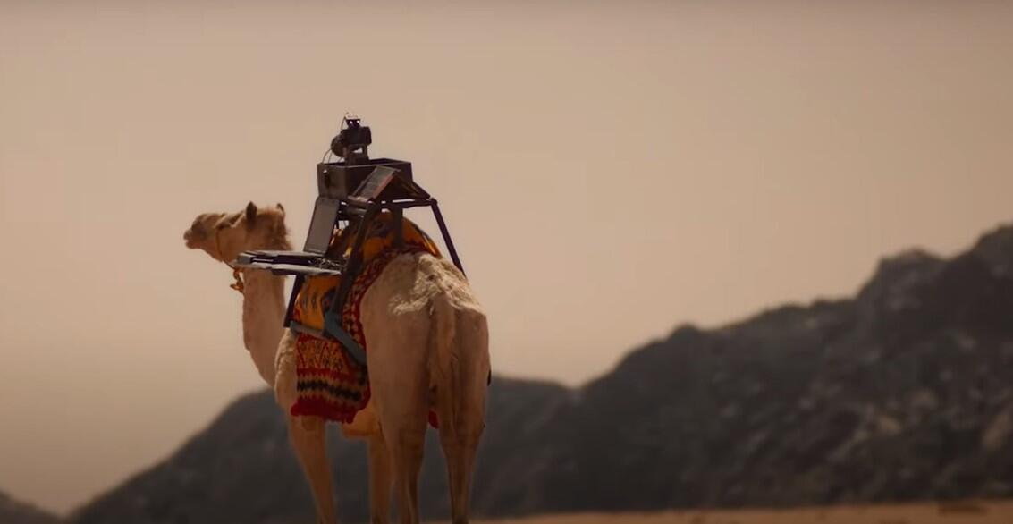 World's First Content Creator Camel is Shooting on Saudi Desert | Al Bawaba