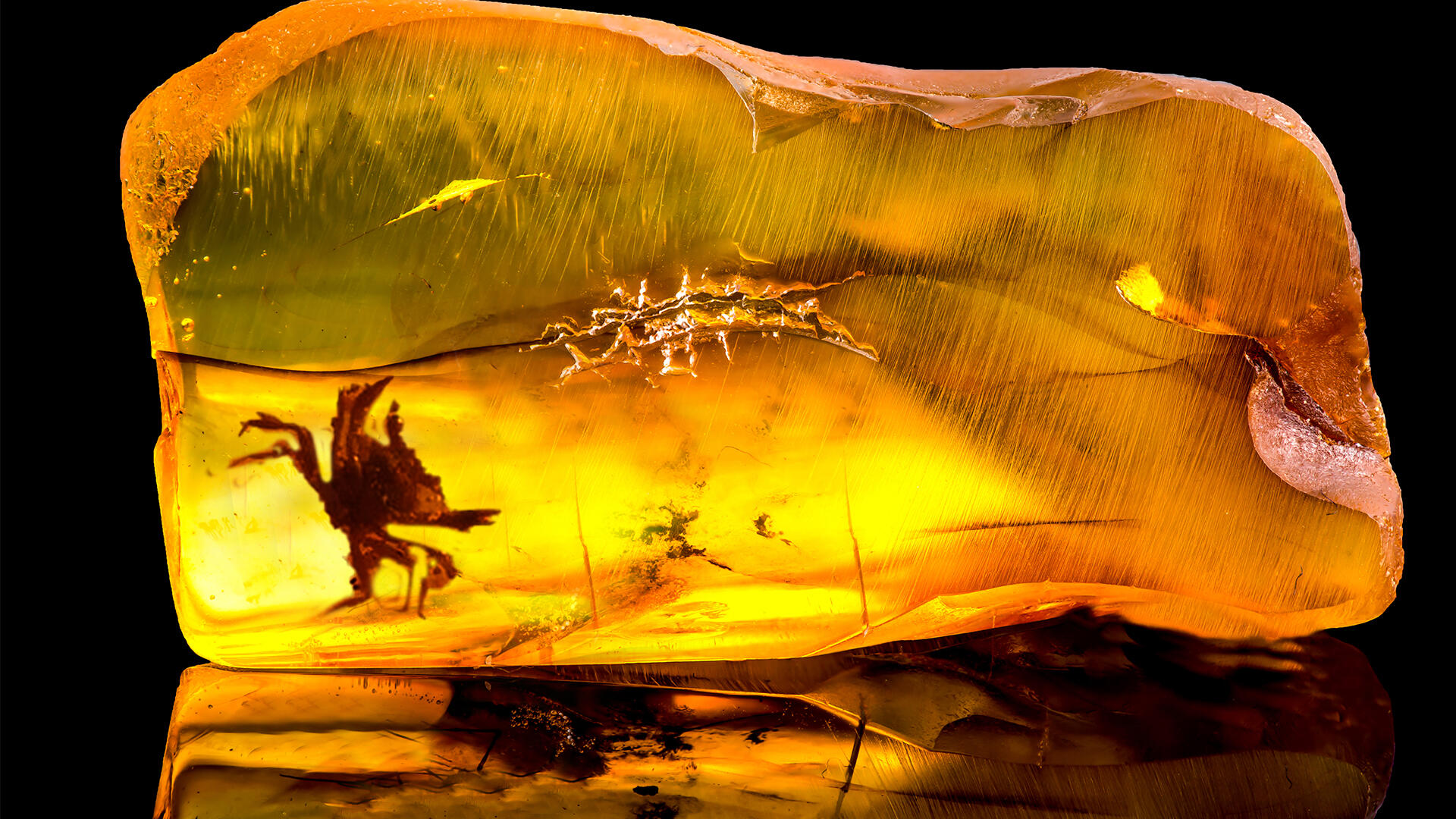 Remains of an Ancient Crab Frozen in Amber for 100 Million Years | Al ...