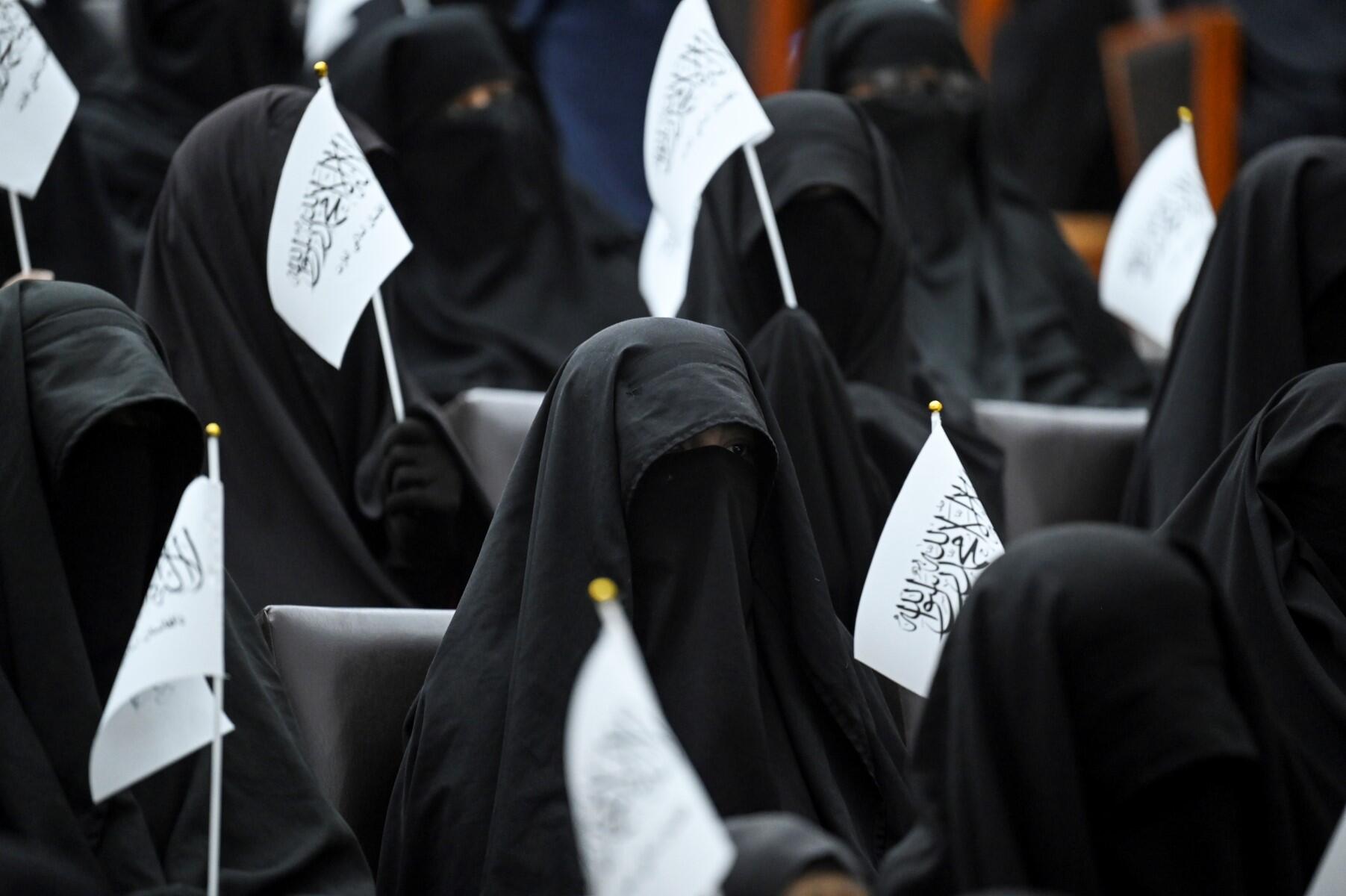 Osama Aziz Becomes The Taliban-appointed Head of Kabul University | Al ...