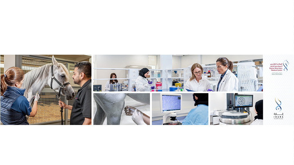 QF’s EVMC Launches Inara - Qatar’s First Equine Biobank | Al Bawaba