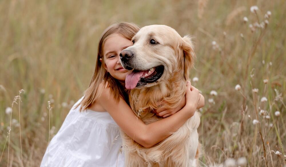 Why Do Humans Adore Golden Retriever Dogs? | Al Bawaba