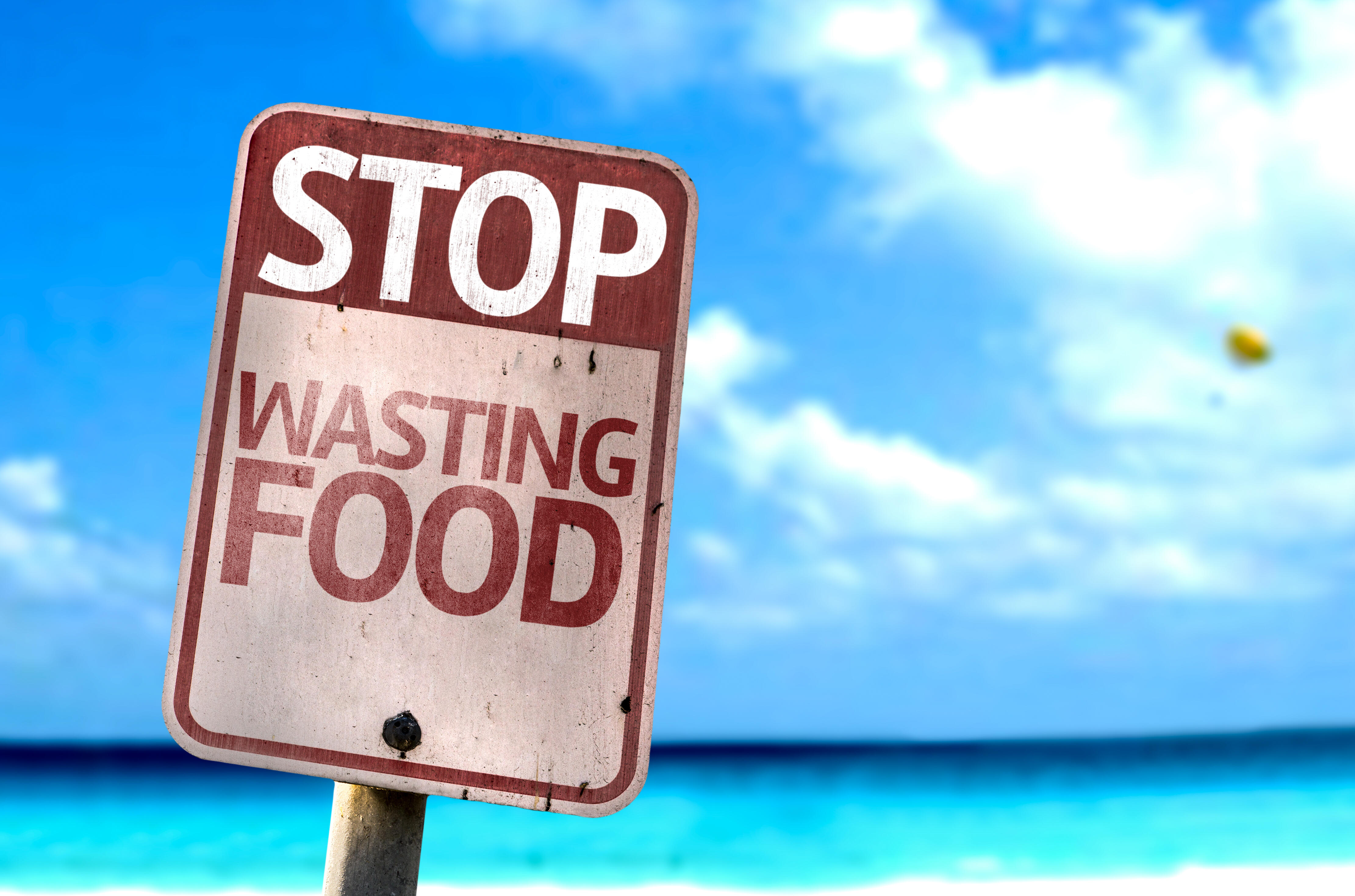 Saudi Launches Campaign to Stop Food Waste | Al Bawaba