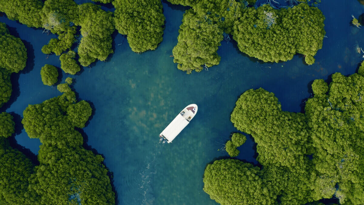 Rehlat: Saudi Arabia lesser known landscapes attract global leisure ...