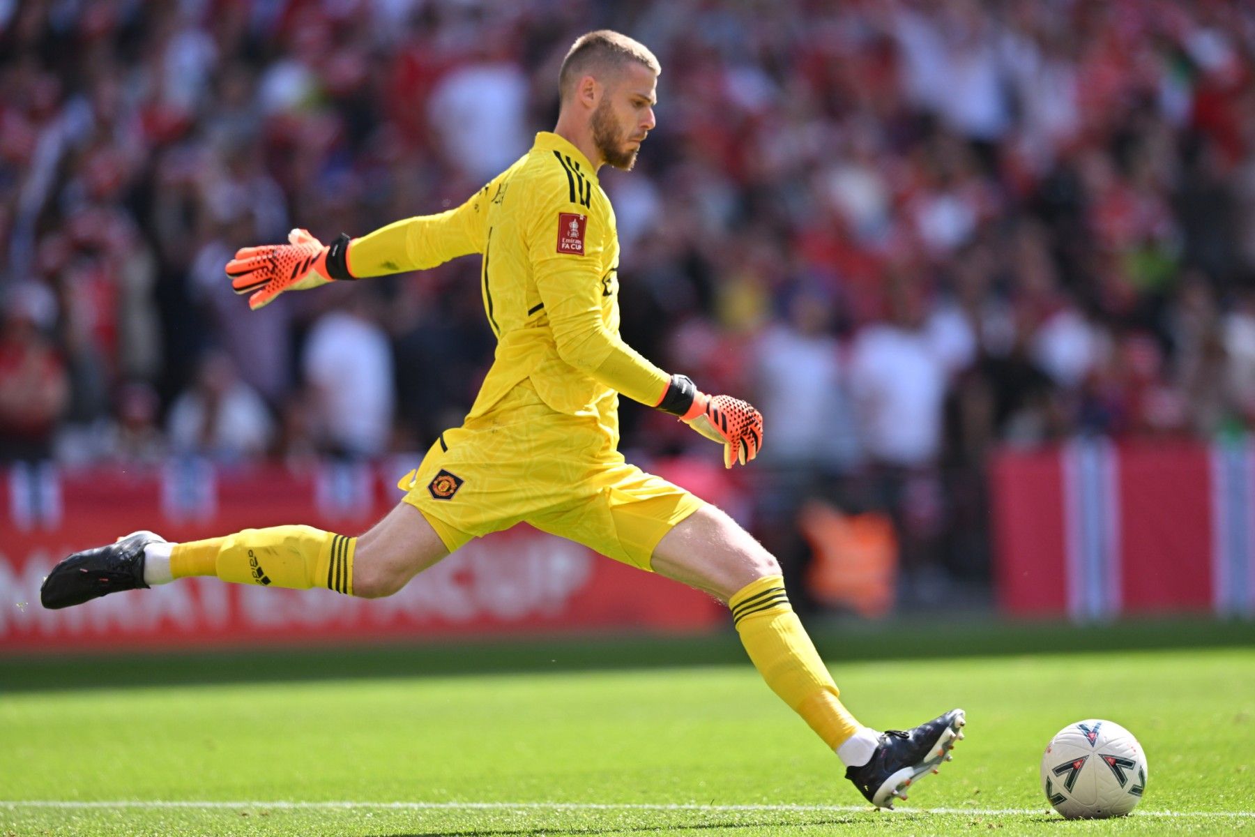 Manchester United searching for new goalkeeper