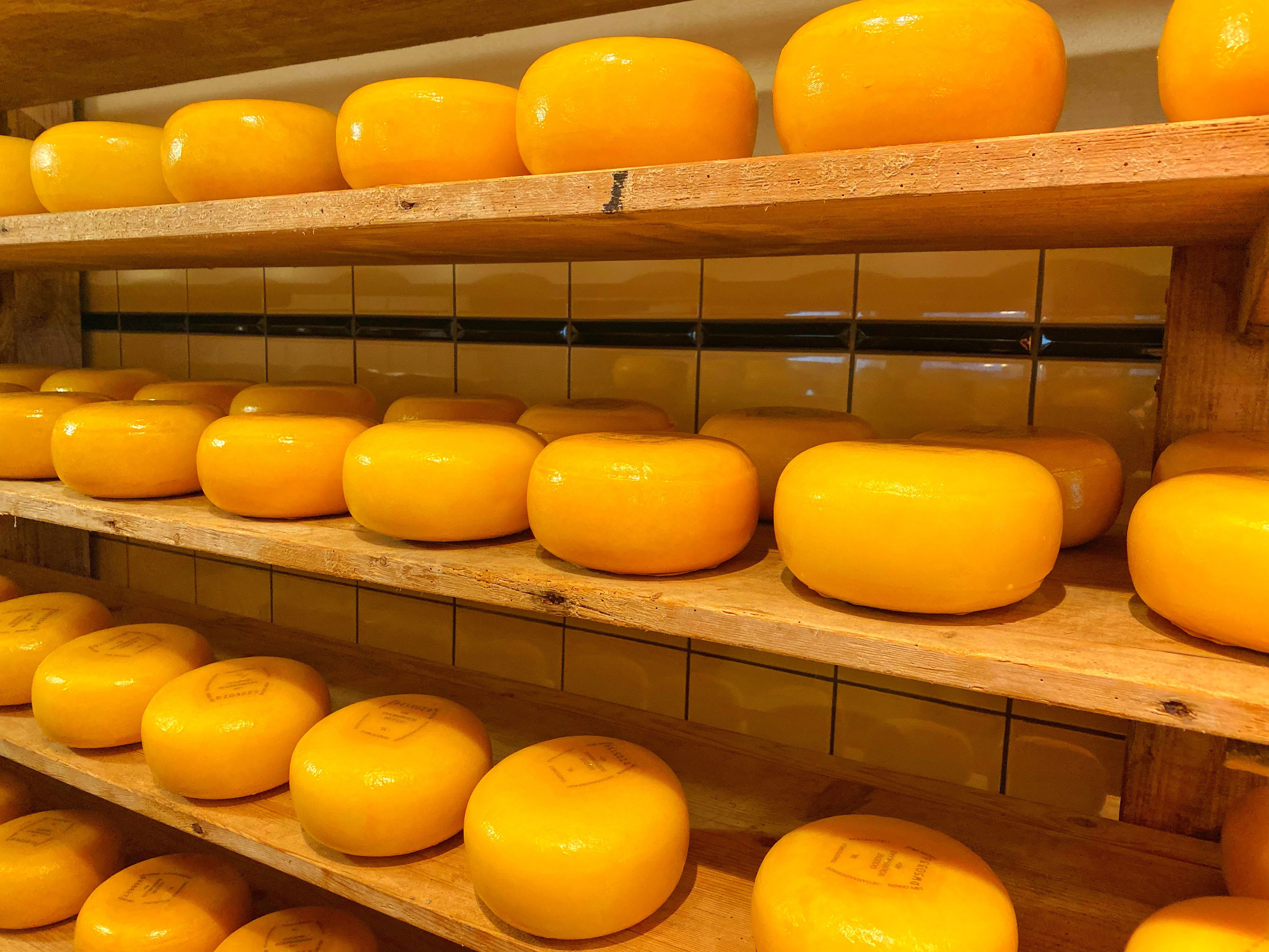 Love of cheese leads Italian man to his tragic end | Al Bawaba
