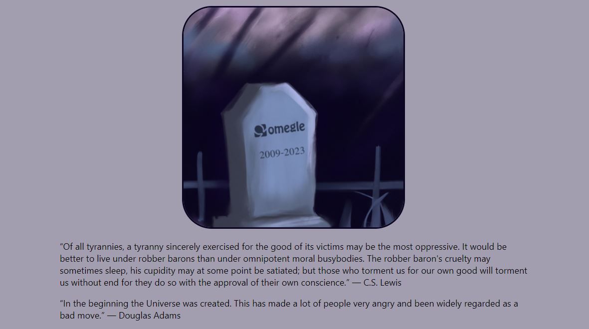 Rest in Peace Omegle: Popular video chat website shuts down | Al Bawaba