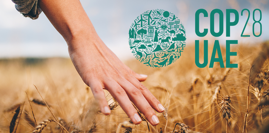 Royal Innovative: “We need a new food system ensuring that we give more ...