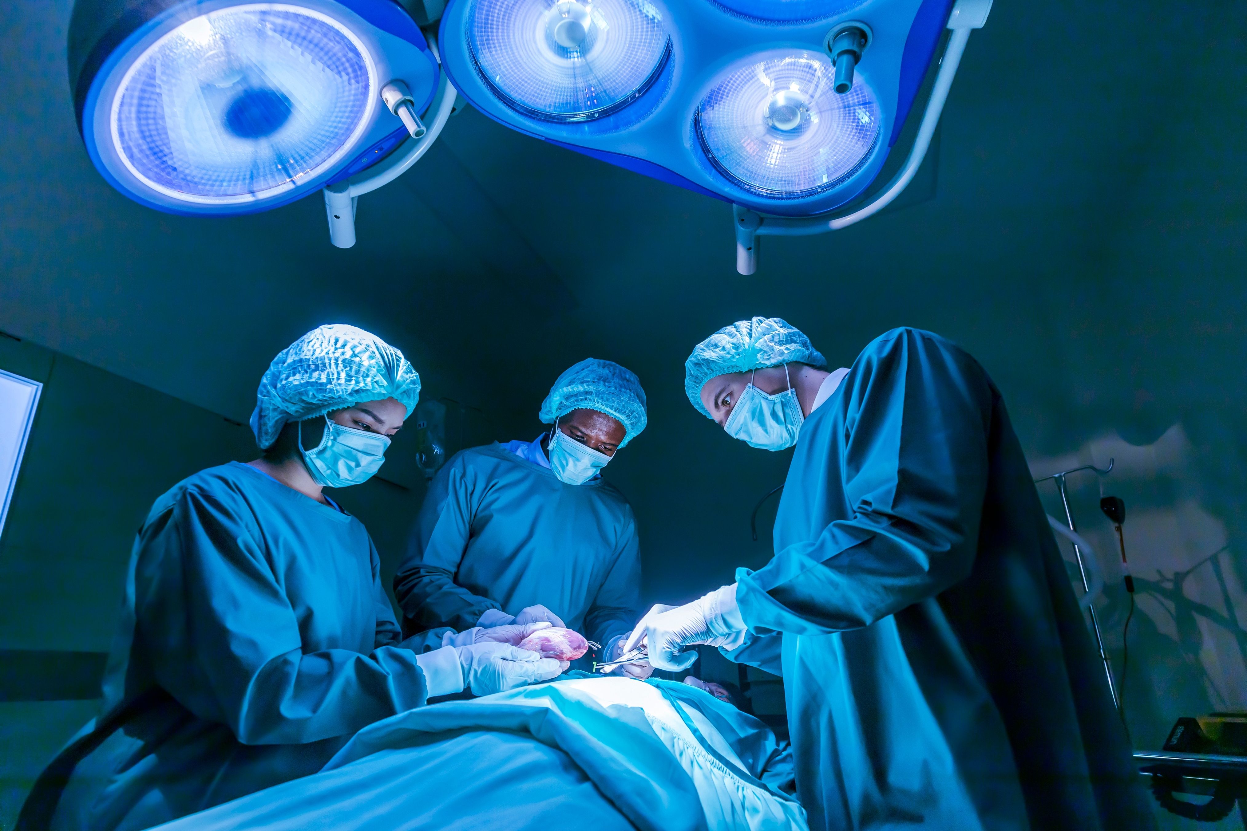Groundbreaking milestone: Success of Arm nerve transplant for the first ...