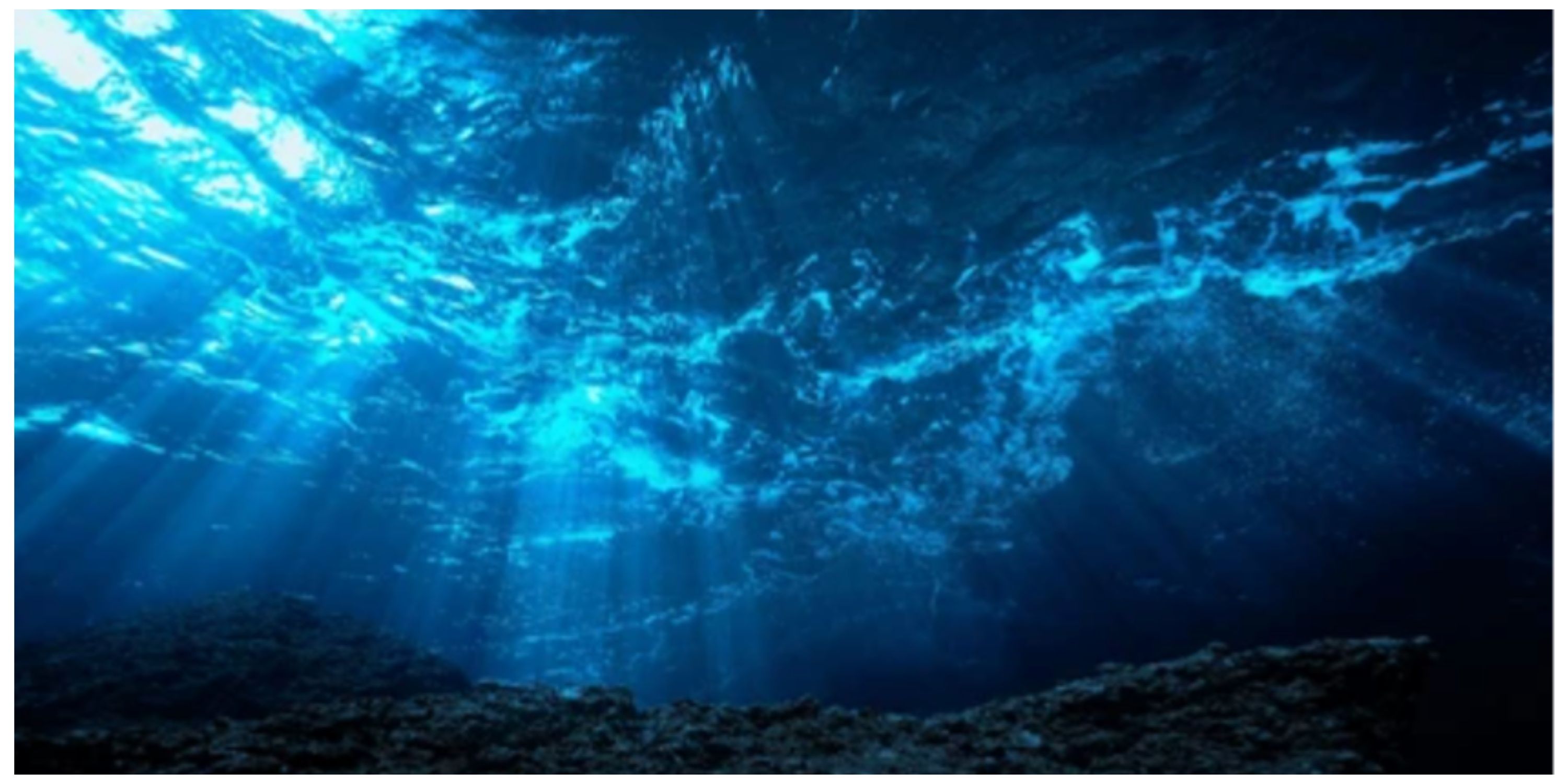 "Mysterious Black Creatures" in the depths of Ocean | Al Bawaba