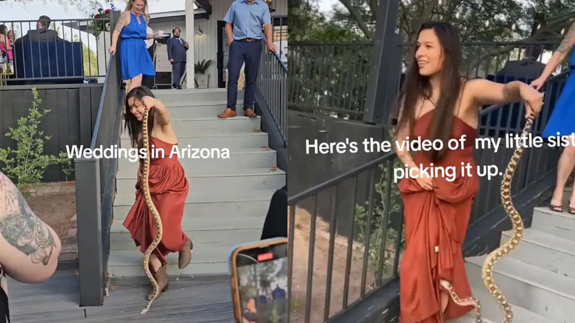 Snake breaks into wedding in the US, brave sister saves day (Video ...