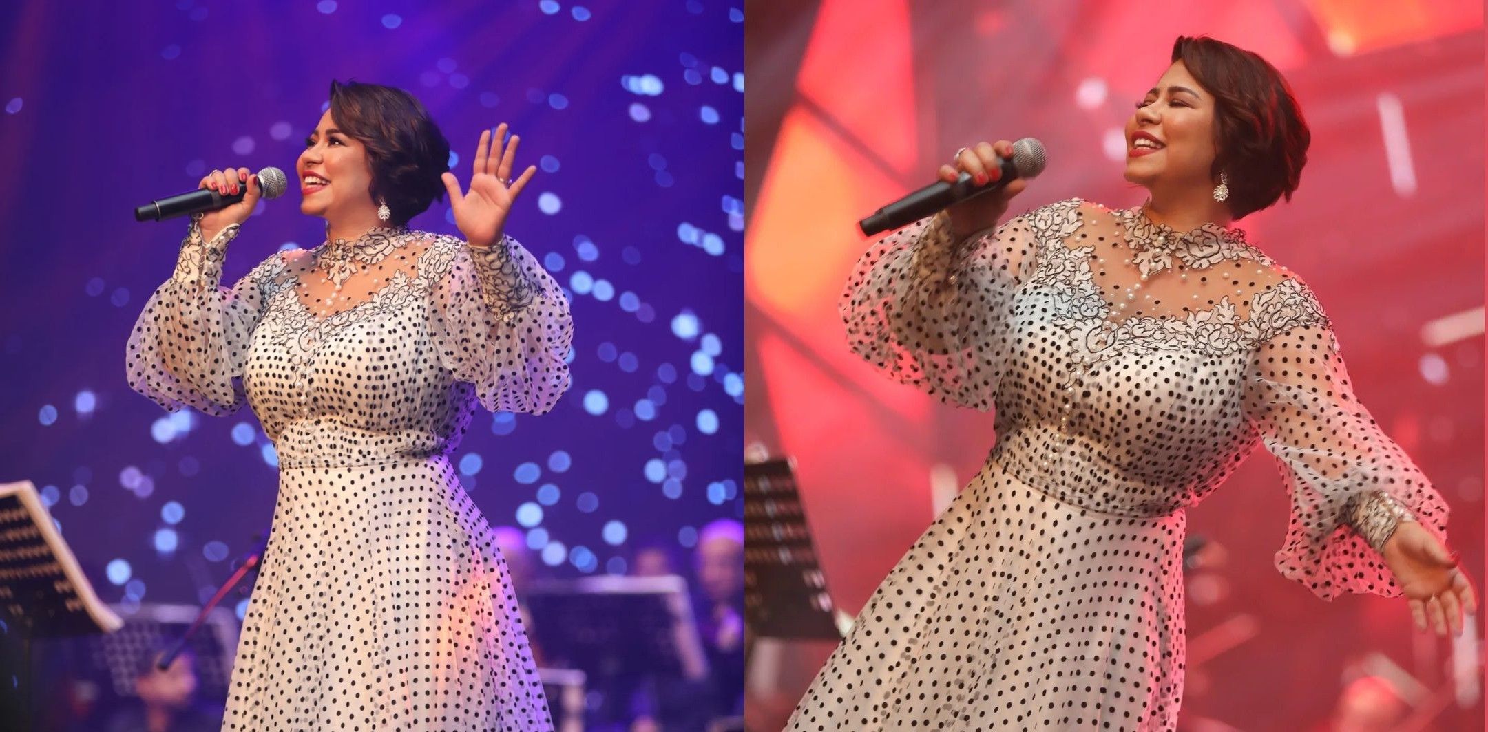 Sherine Abdel Wahab cancels Dubai show due to mental and physical ...