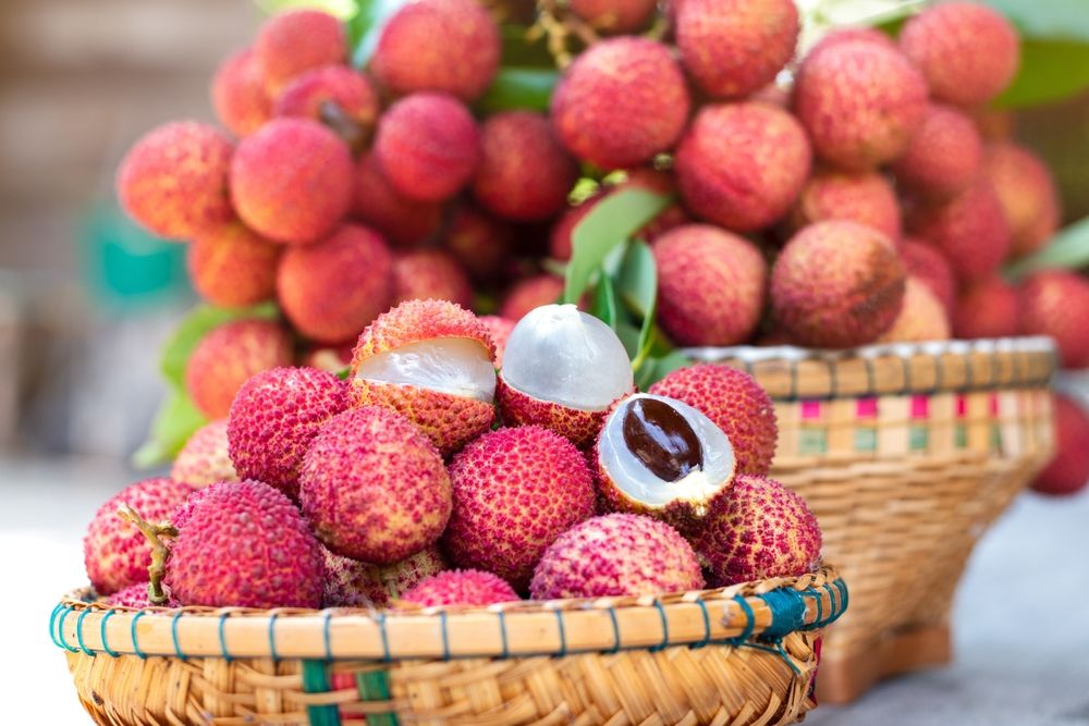 lychee seeds, know benefits and side effects of eating them | Al Bawaba
