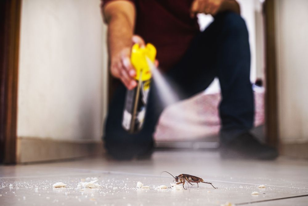 Tips to stop insects around lights | Al Bawaba