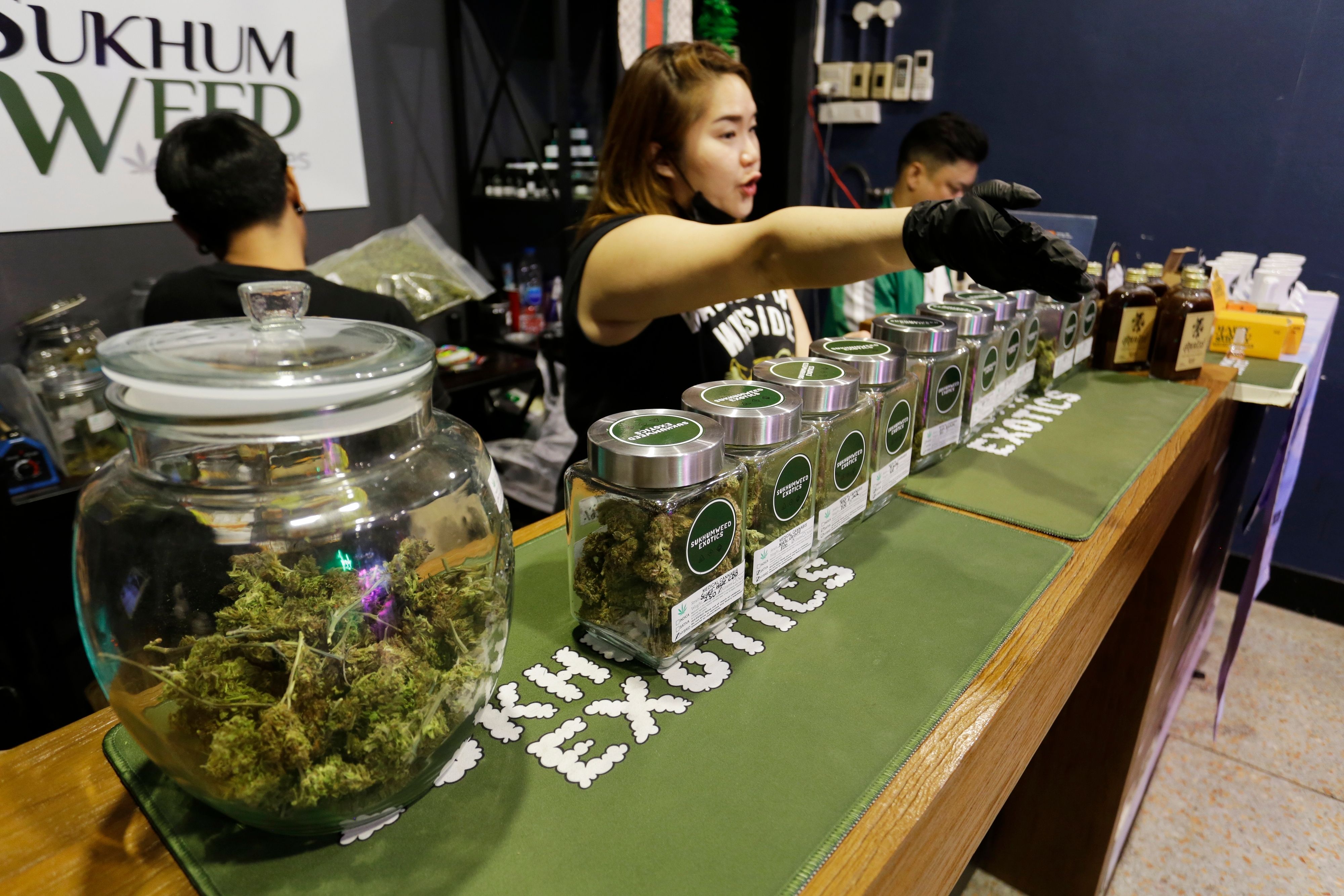 Thai Cannabis activists go on hunger strike as government set to ...