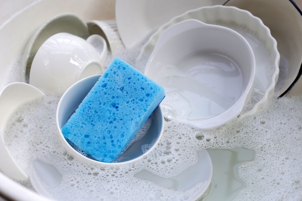 How kitchen sponges could lead to life-threatening infections | Al Bawaba