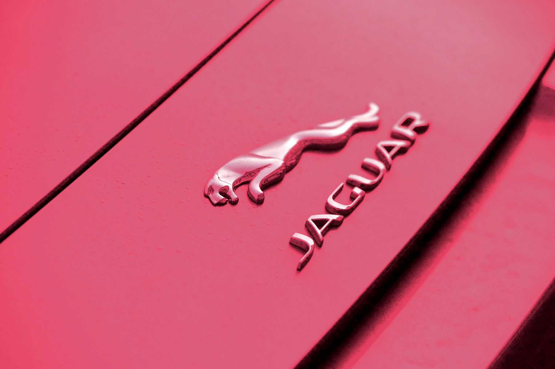 New Jaguar car leaked, its pink and bold | Al Bawaba