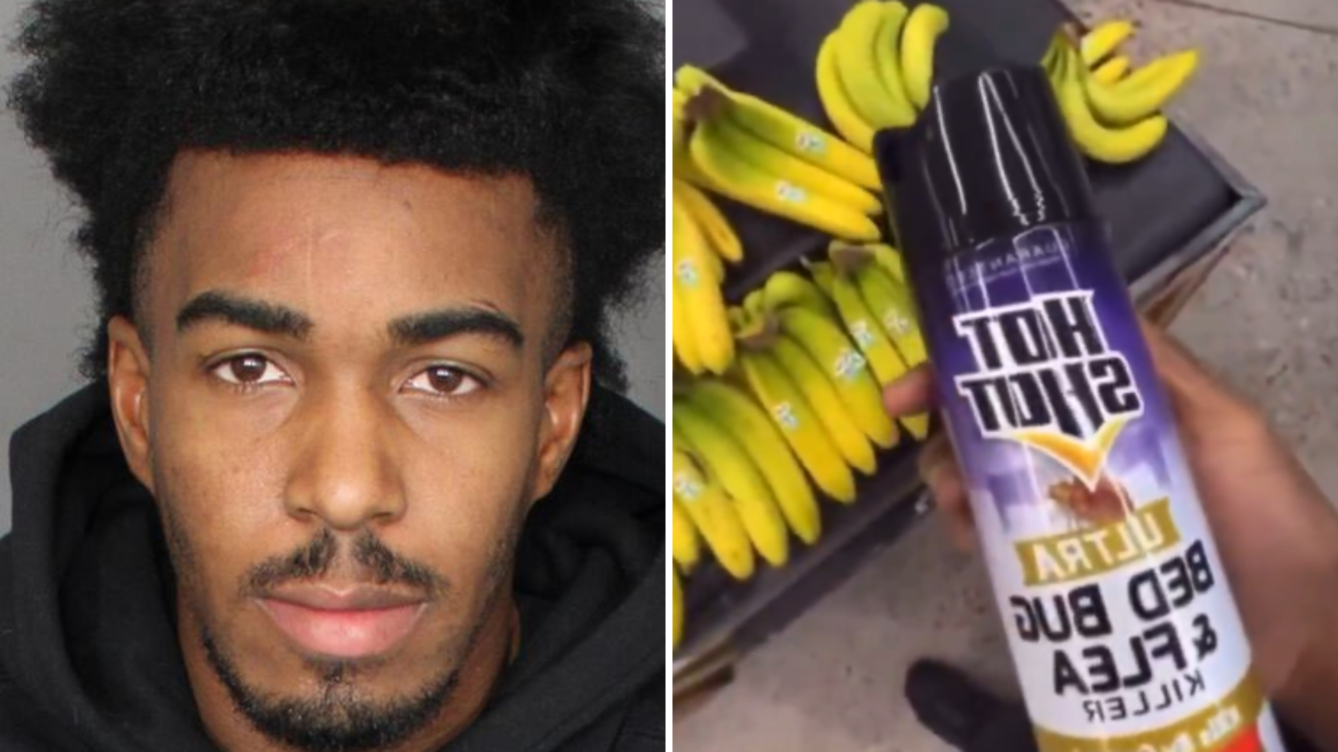 TikToker arrested over spraying pesticide on Walmart products | Al Bawaba