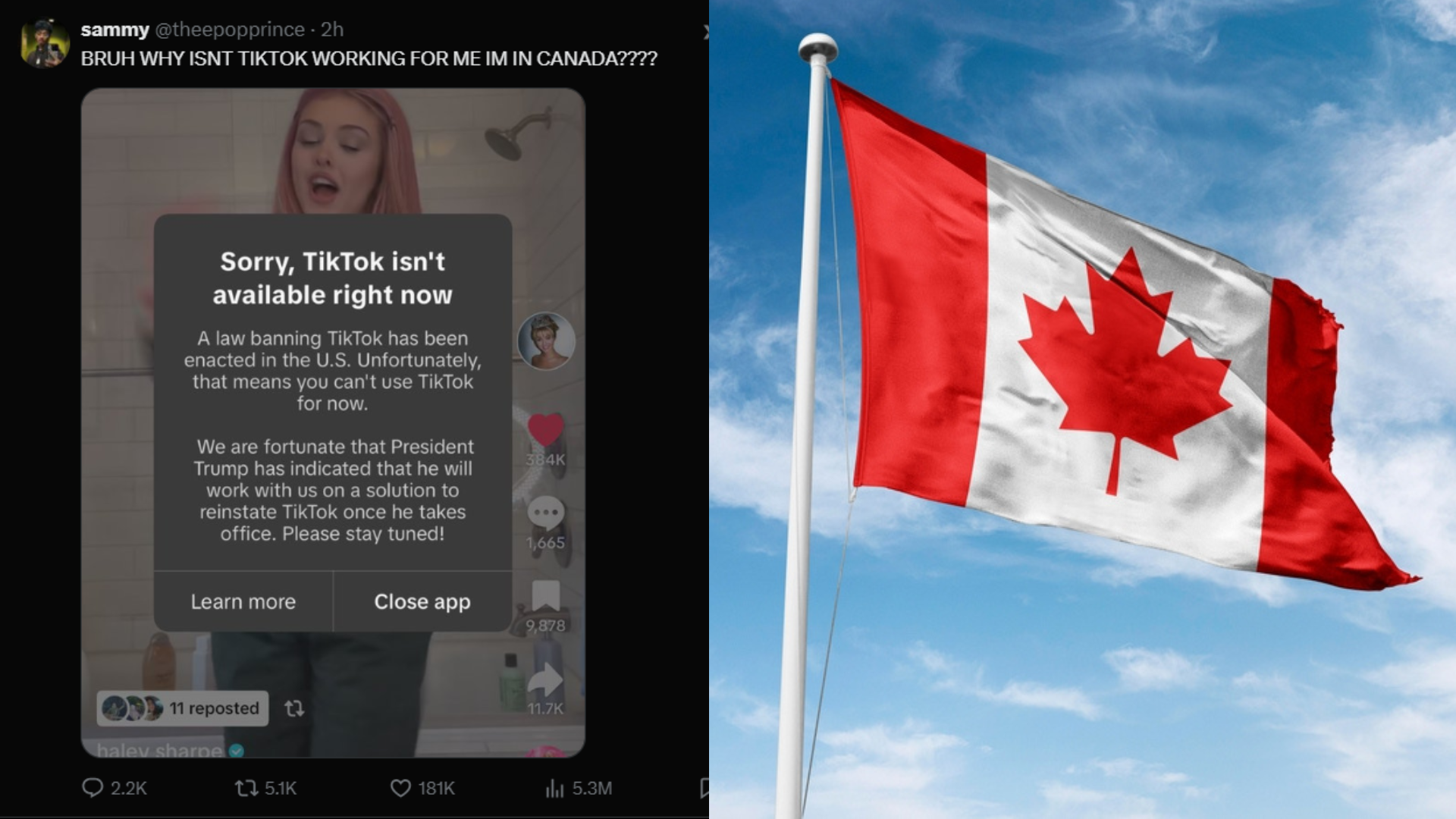 Canada faces TikTok ban amid US ban, sparking 51st state jokes | Al Bawaba