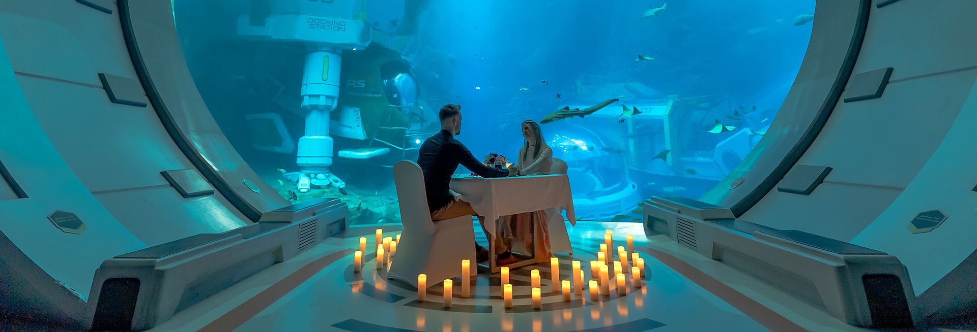 Dine With a Mesmerizing View this Valentine’s Day at SeaWorld® Yas ...