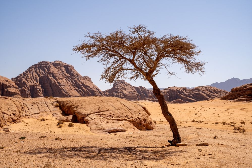 4.0 magnitude earthquake strikes Jordan’s Aqaba | Al Bawaba