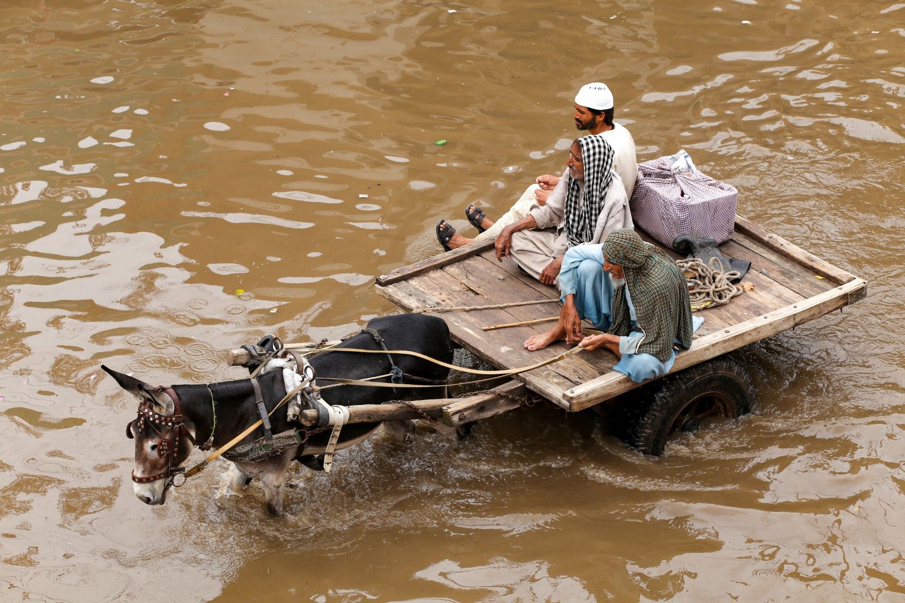 At least 19 killed in Pakistan's heavy rains | Al Bawaba