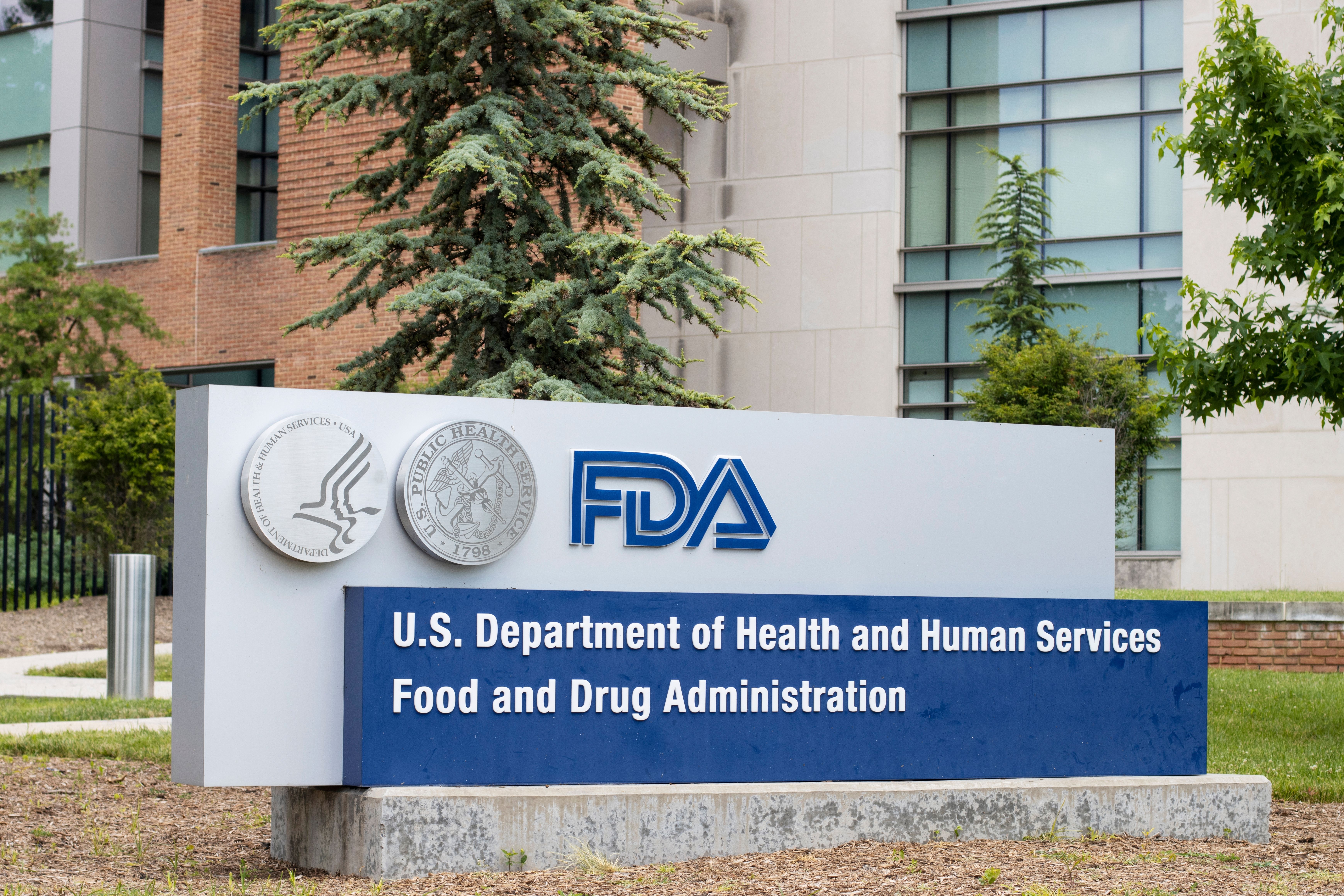 FDA and OpenAI to collaborate on AI drug evaluation | Al Bawaba