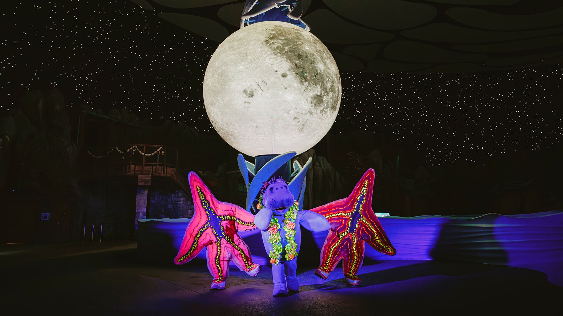 Electric Ocean Festival Returns to SeaWorld® Yas Island, Abu Dhabi ...