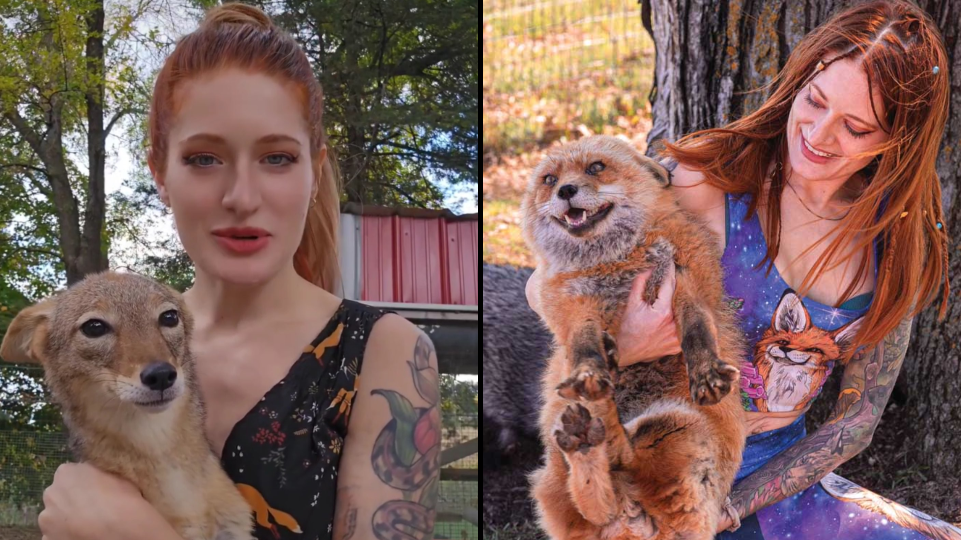 YouTuber and Fox rescuer Mikayla Raines dead at 31 in tragic suicide ...