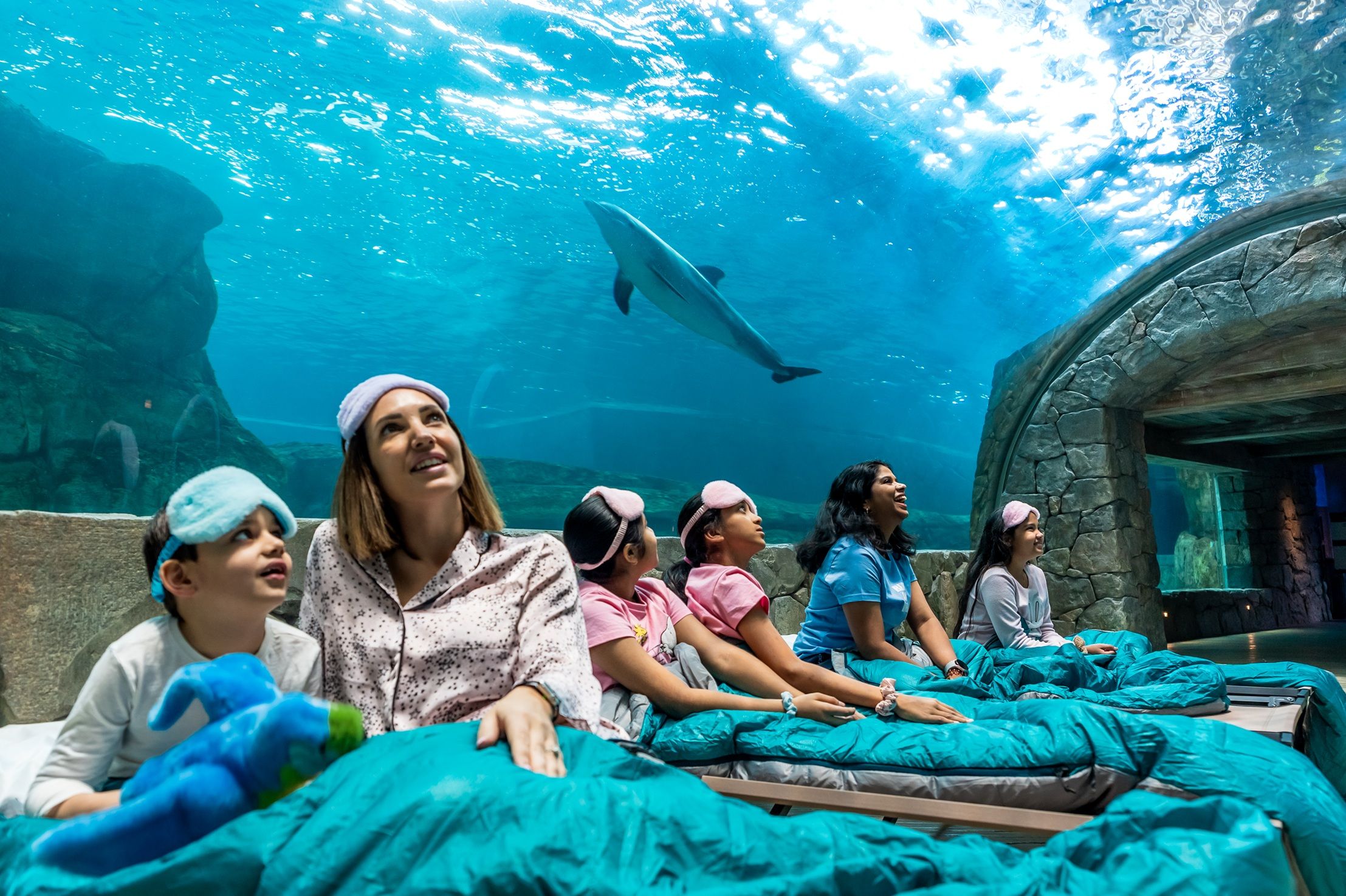 SeaWorld® Yas Island, Abu Dhabi is Hosting Its Biggest Sleepover Event ...
