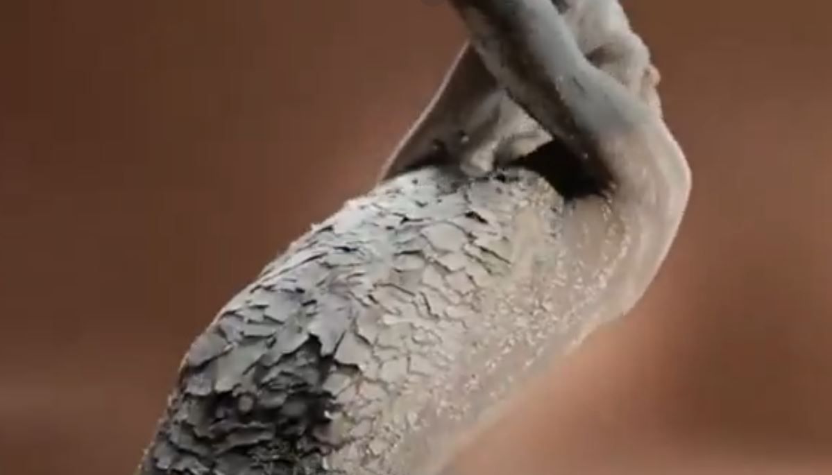 Shower gel ad sparks anger in UK over racist insinuation on black skin ...