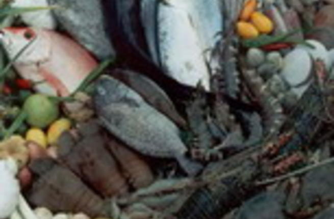 Canadian fish and seafood exports to the MENA region top CAD 7.6 ...