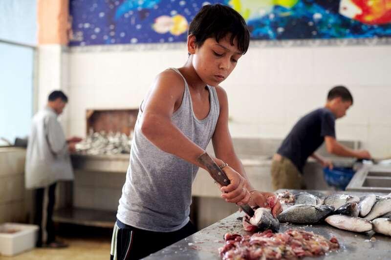 Child labor in Jordan has tripled over last ten years | Al Bawaba