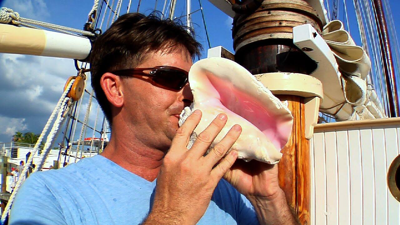 Music Inside Out: Florida Man, Conch Shell Blowing and Winning at Same ...