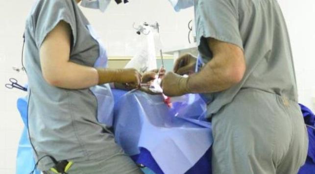 Egypt’s health ministry says female genital mutilation will end by 2030 ...