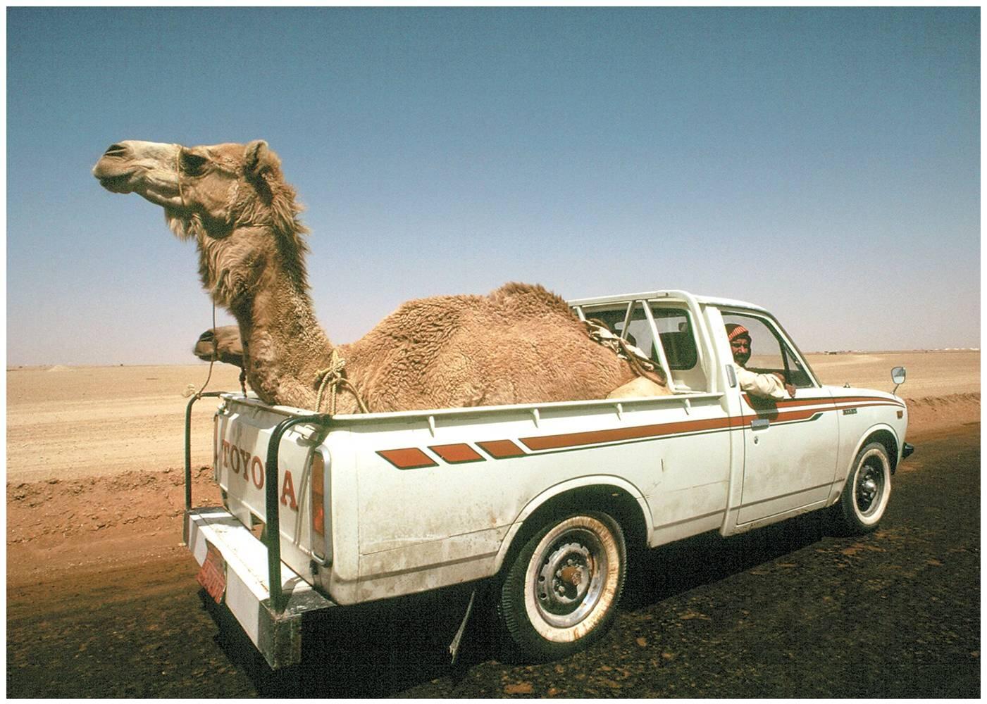 10 signs you've been bitten by the Middle East bug! | Al Bawaba