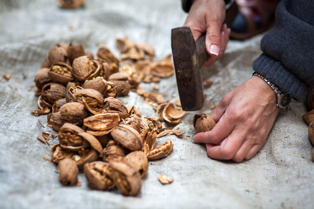 Video: Pakistani Breaks Record for Cracking 243 Walnuts With his Head ...